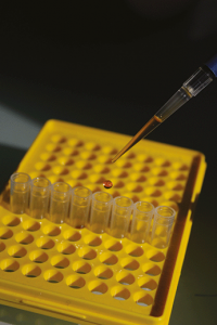 CCHF: a field-proven serological tool for disease control - Innovative ...