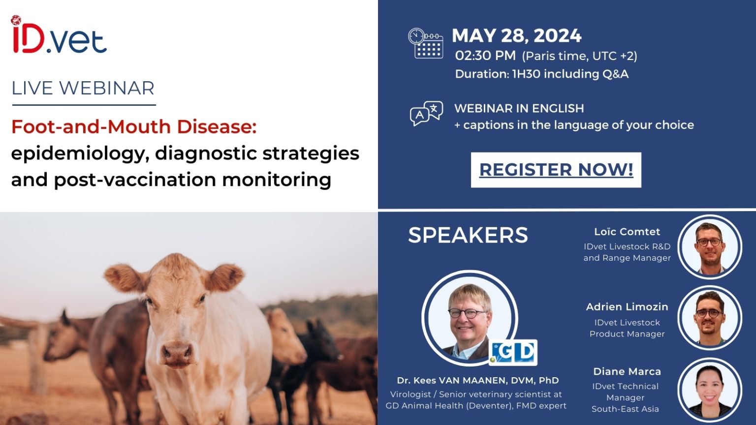 News - Innovative Diagnostics